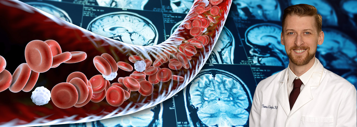 HOME PAGE BANNERS ARCHIVE | University of Maryland School of Medicine