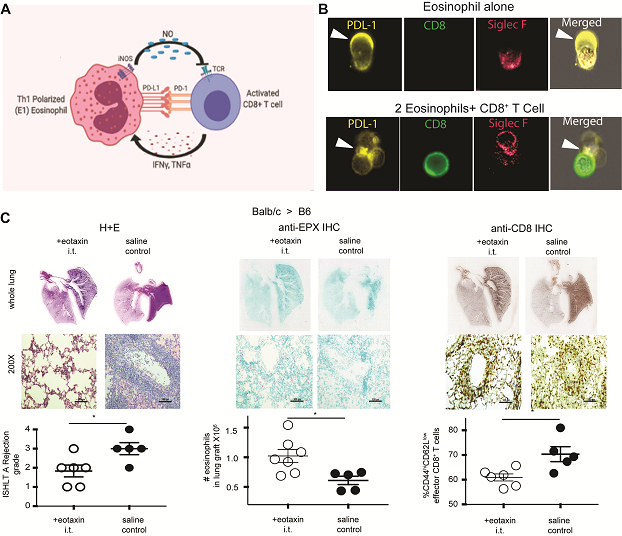 Research | University of Maryland School of Medicine